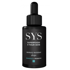 In-Depth Analysis and Overview of SYS Memory Moisture Drops