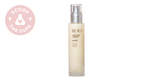 In-Depth Analysis and Overview of Dr. Koo Anti-Toxin Cleanse Gentle