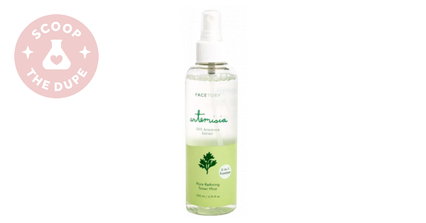In-Depth Analysis and Overview of FaceTory Artemisia Pore Refining ...