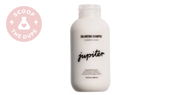 In-Depth Analysis and Overview of Jupiter Balancing Shampoo