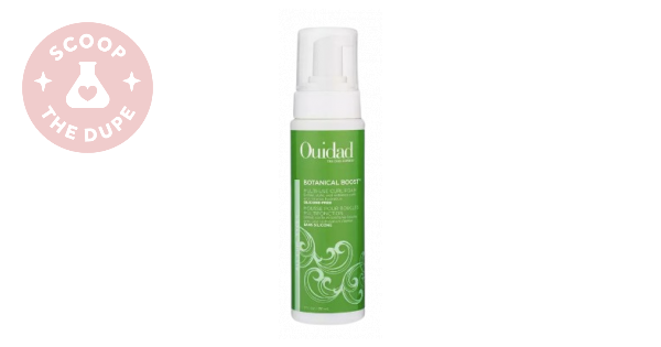 In-Depth Analysis and Overview of Ouidad Botanical Boost Multi-Use Curl ...