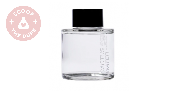In-Depth Analysis and Overview of Freck Cactus Water Cleansing Lactic ...