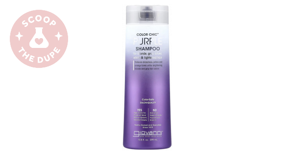 In-Depth Analysis and Overview of Giovanni Color Chic Purple Shampoo