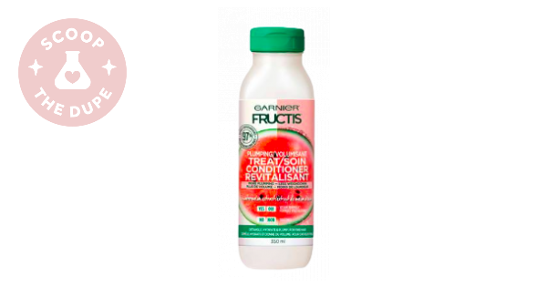 In-Depth Analysis and Overview of Garnier Fructis Hair Treats ...