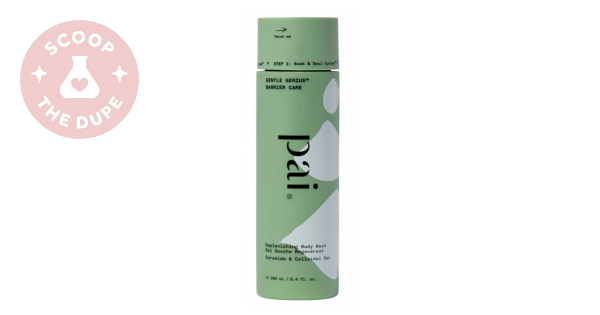 In-Depth Analysis and Overview of Pai Skincare Gentle Genius Barrier ...