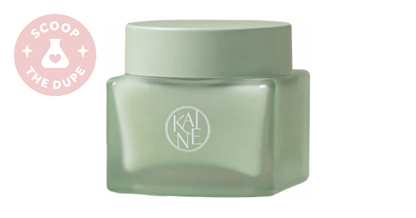 32 Best Kaine Green Calm Aqua Cream Dupes