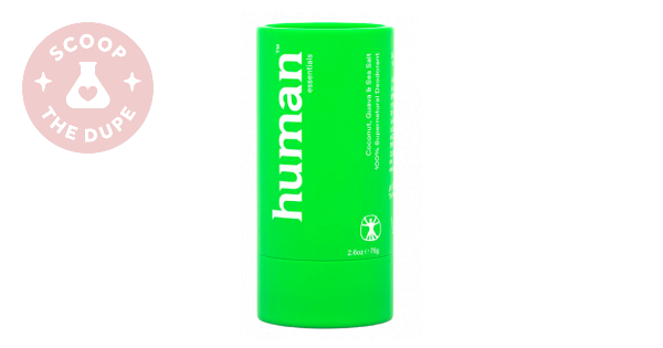 In-Depth Analysis and Overview of Human Essentials Guava, Sea Salt, and ...