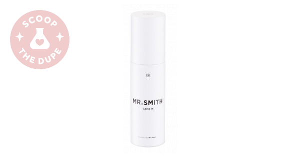 In-Depth Analysis and Overview of Mr. Smith Leave In