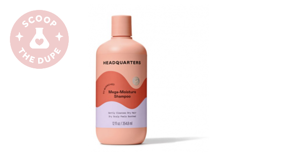 In-Depth Analysis and Overview of Headquarters Mega-Moisture Shampoo