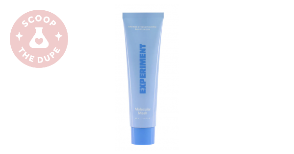 In-Depth Analysis and Overview of Experiment Molecular Mesh Moisturizer