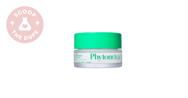 In-Depth Analysis and Overview of Amuse Phytoncica ECO Ceramide Cream