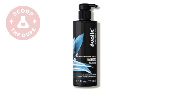 In-Depth Analysis and Overview of évolis Professional Promote Shampoo