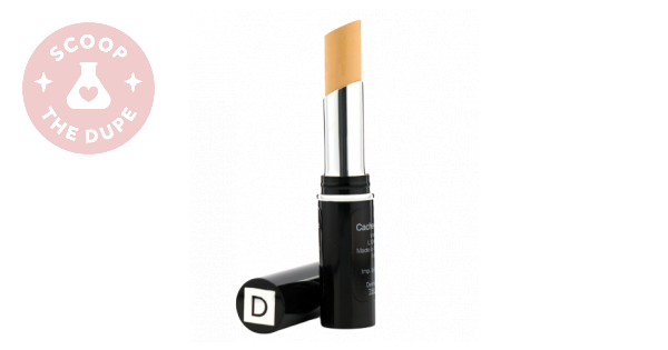 In-Depth Analysis and Overview of Dermablend Professional Quick-Fix ...