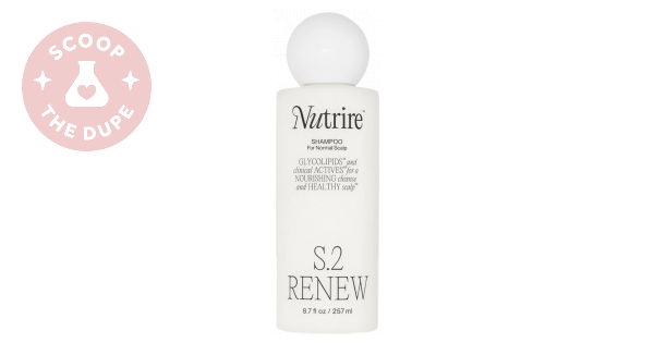 In-Depth Analysis and Overview of Nutrire S.2 Renew