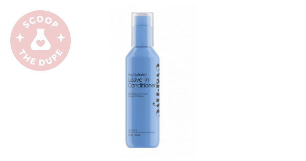 In-Depth Analysis and Overview of eva nyc Stay Hydrated Leave-in ...