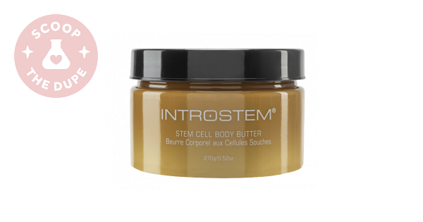 In-Depth Analysis and Overview of Introstem Stem Cell Body Butter