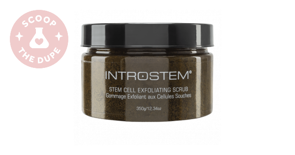 In-Depth Analysis and Overview of Introstem Stem Cell Exfoliating Scrub