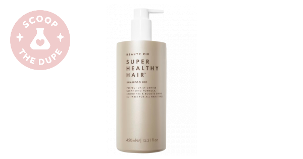 32 Best Beauty Pie Super Healthy Hair Shampoo 001 Dupes