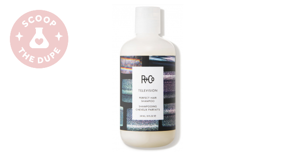 In-Depth Analysis and Overview of R+Co Television - Perfect Hair Shampoo