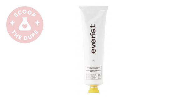 In-Depth Analysis and Overview of Everist Waterless Shampoo Concentrate