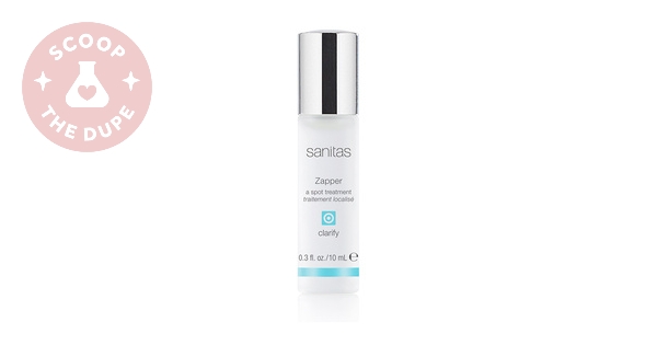 In-Depth Analysis and Overview of Sanitas Skincare Zapper